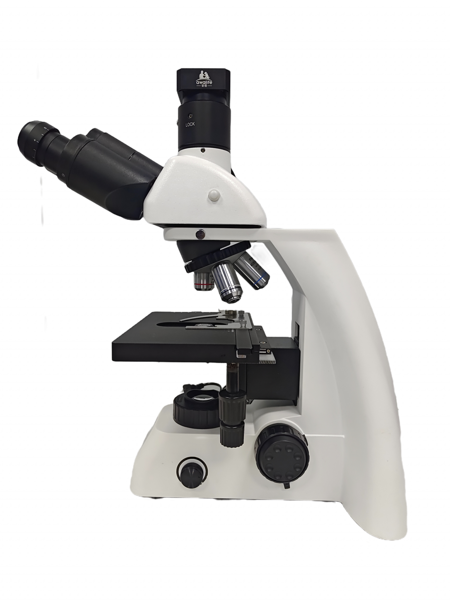 Digital Microscope Station - SHEN ZHEN ANLV MEDICAL TECHNOLOGY CO.,LTD